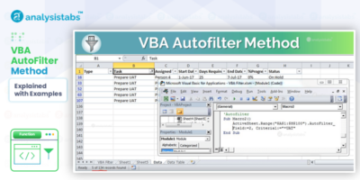 VBA Autofilter - Excel Filter Explained with Examples