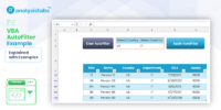 VBA Autofilter - Excel Filter Explained with Examples