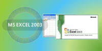 Microsoft Excel 2003
