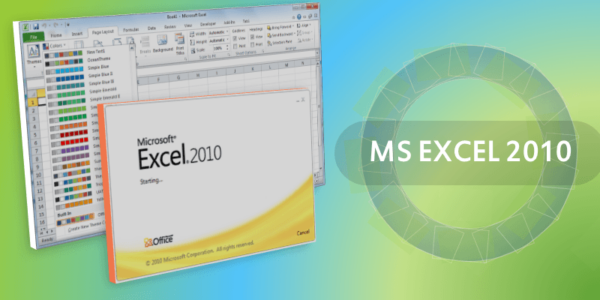 Microsoft Excel 2010