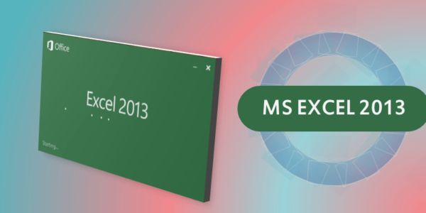 Microsoft Excel 2013