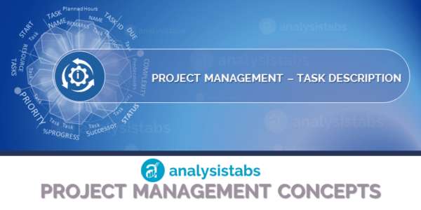 Task Description Field in Project Plan Template - Analysistabs